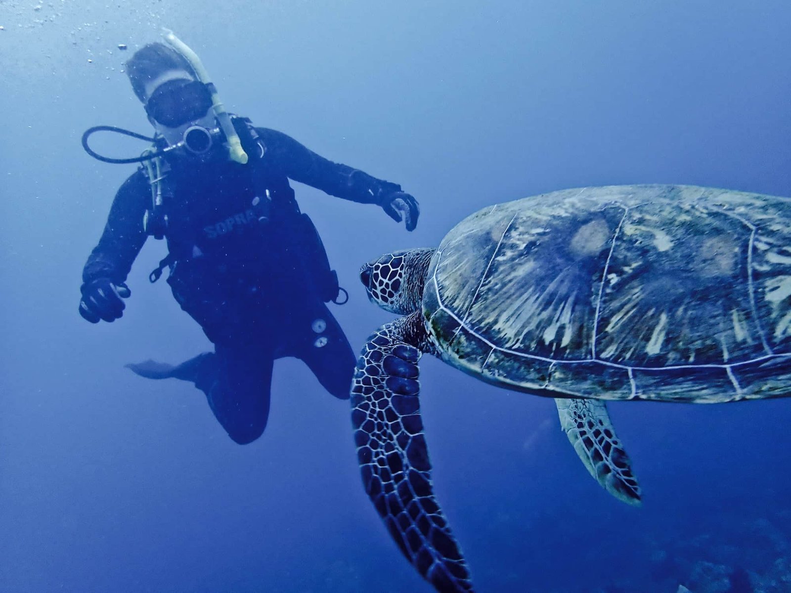 Guided Trips & Tours In Taiwan ~ Imagine Taiwan